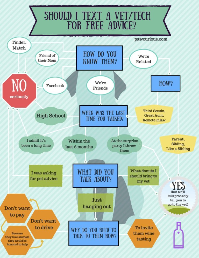 Is It OK To Text a Vet Friend For Free Advice? – Pawcurious: With ...